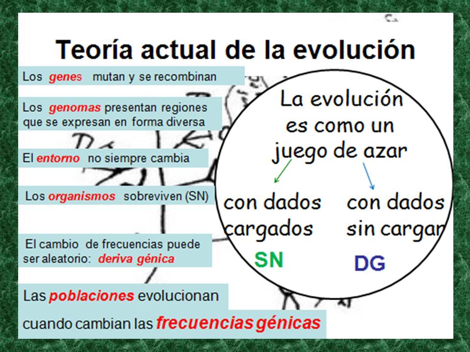 Teoría de Evolución :: Evolibro
